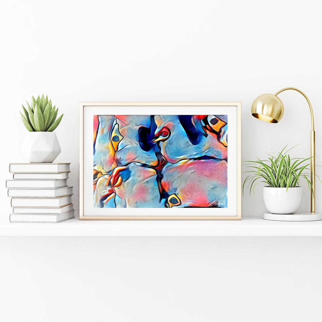 Art Made From Microscope Imaging (coleps Hirtus) | Microscope Art ...