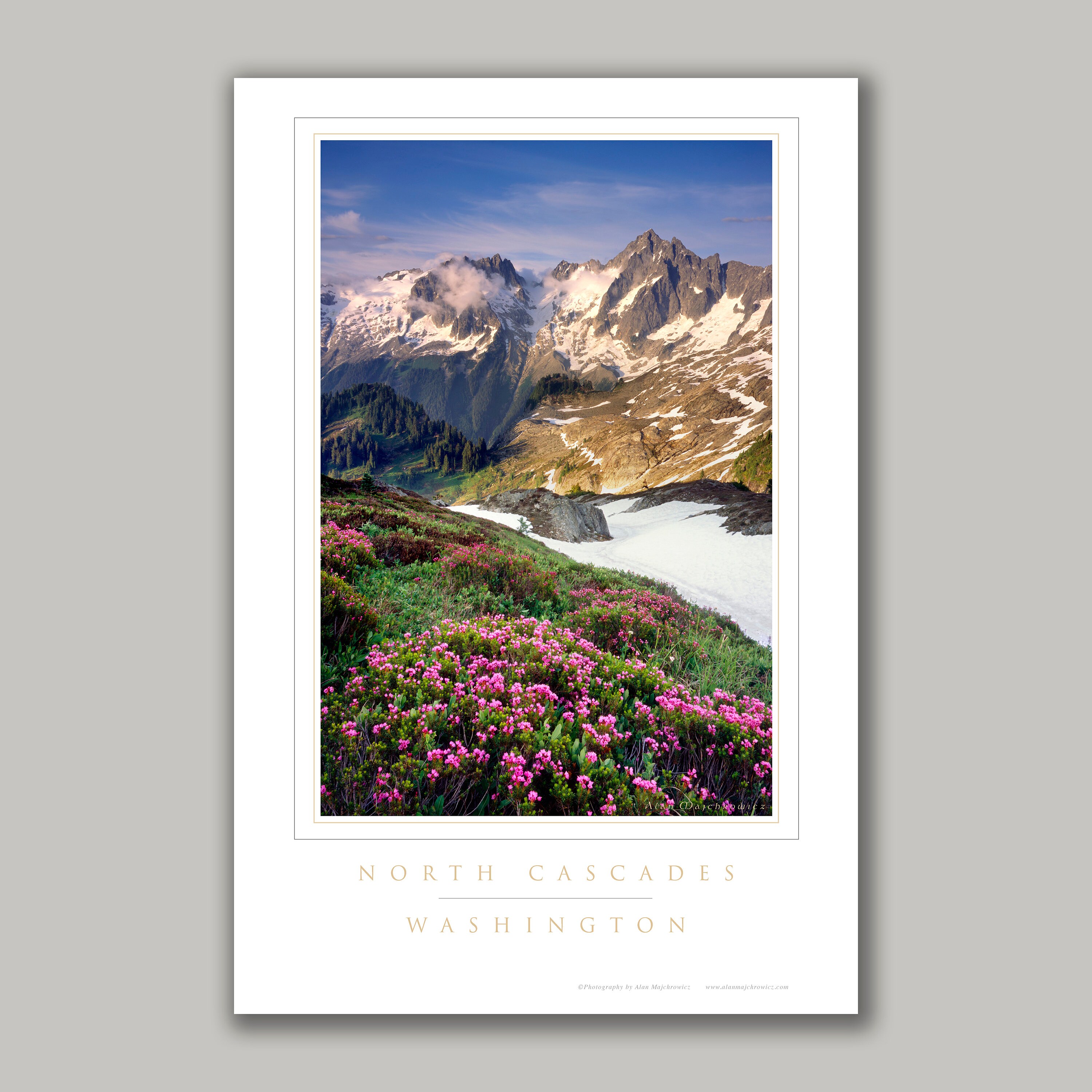 Standard Landscape Poster Size