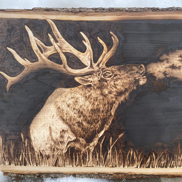 Wood Burning Art - Etsy