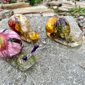 Custom Made to Order Resin Epoxy Snails With Real Preserved Flowers - Etsy