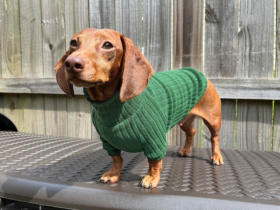 Custom Dachshund Sweater for Wiener Dog - Etsy