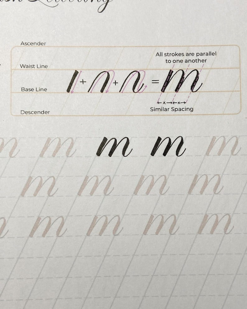 Beginner's Guide to Brush Lettering | 2025 Edition | Abhay Calligraphy ...