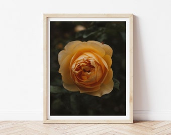 Pink & Yellow Roses Tin Ceiling Tile Art Print - Etsy