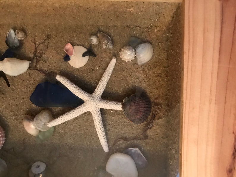 Handmade Beach and Shell Collage - Etsy
