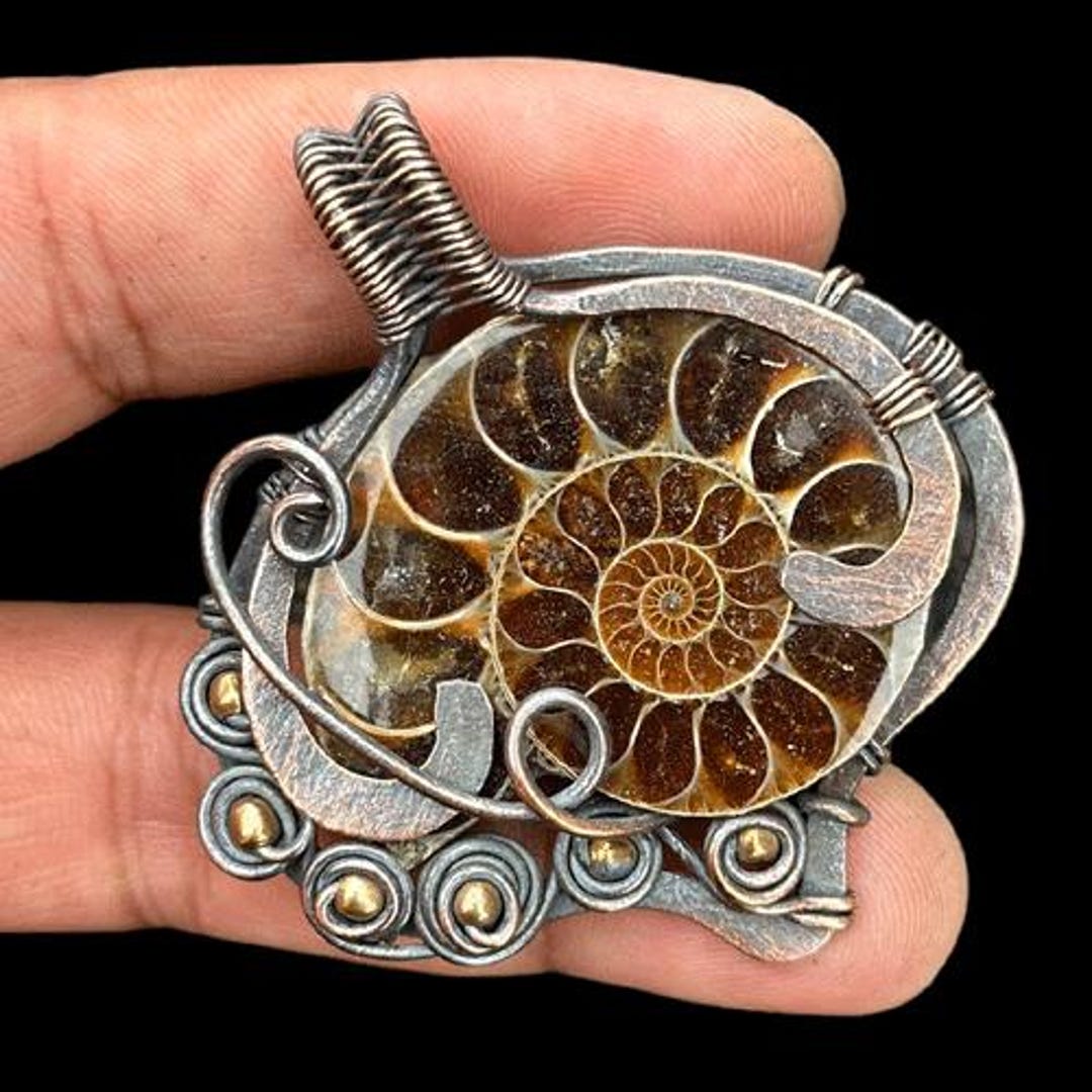 Ammonites Shell Gemstone Pendant Copper Wire Wrapped. Pendant Copper ...