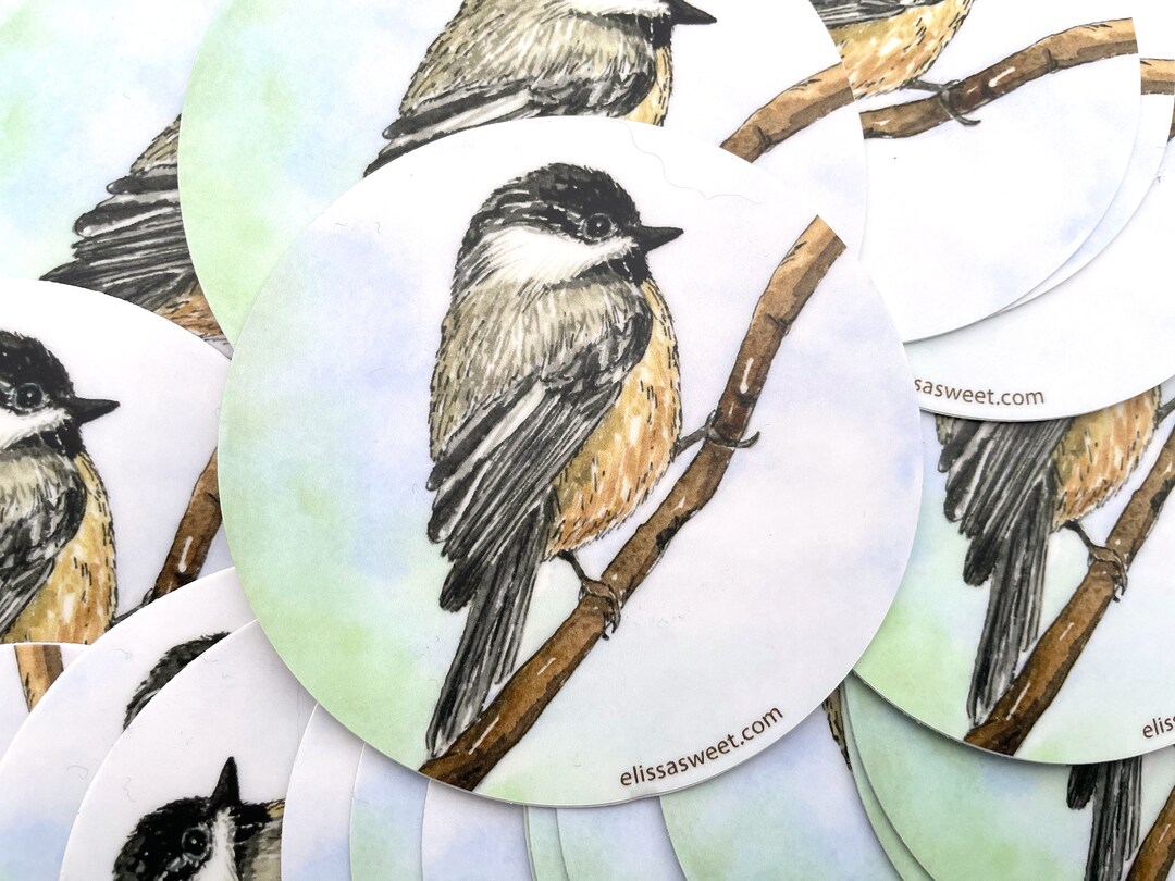 Chickadee Sticker | 3" Die-cut Vinyl Circle Sticker | Watercolor and ...