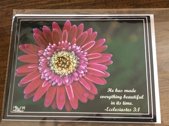 Pink Gerber Daisy Cards