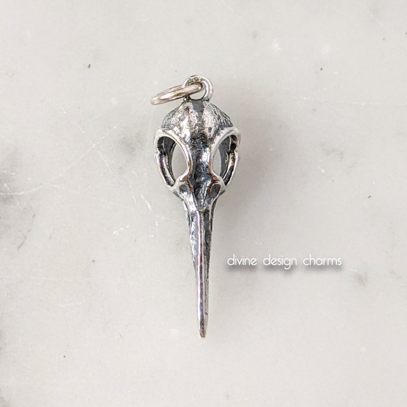 Hummingbird Skull - Etsy