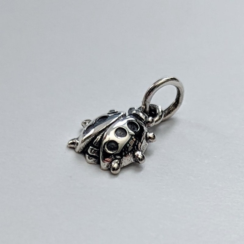 Ladybug Charms - Etsy