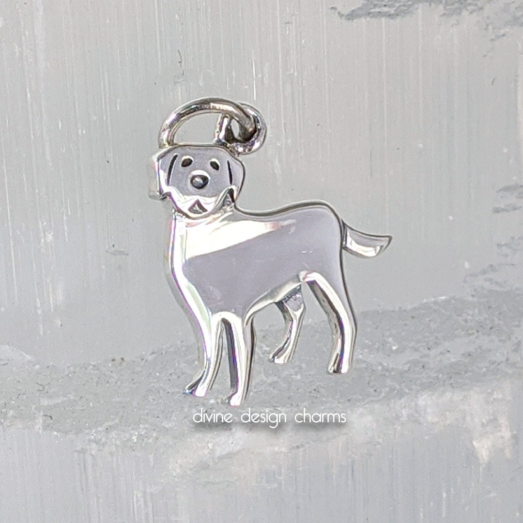 Sterling Silver Labrador Dog Charm - Etsy
