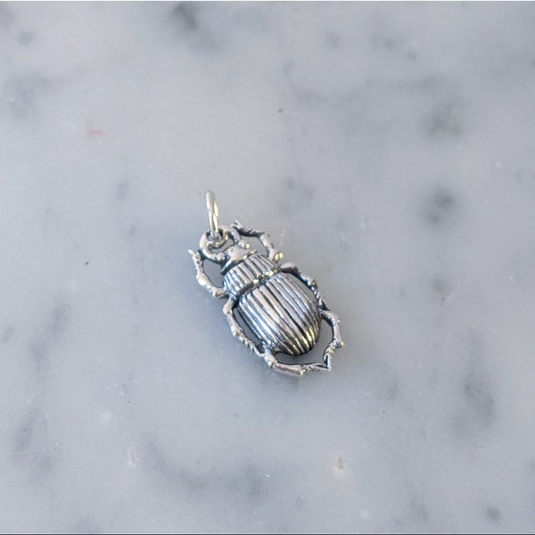 Beetle Charm - Etsy