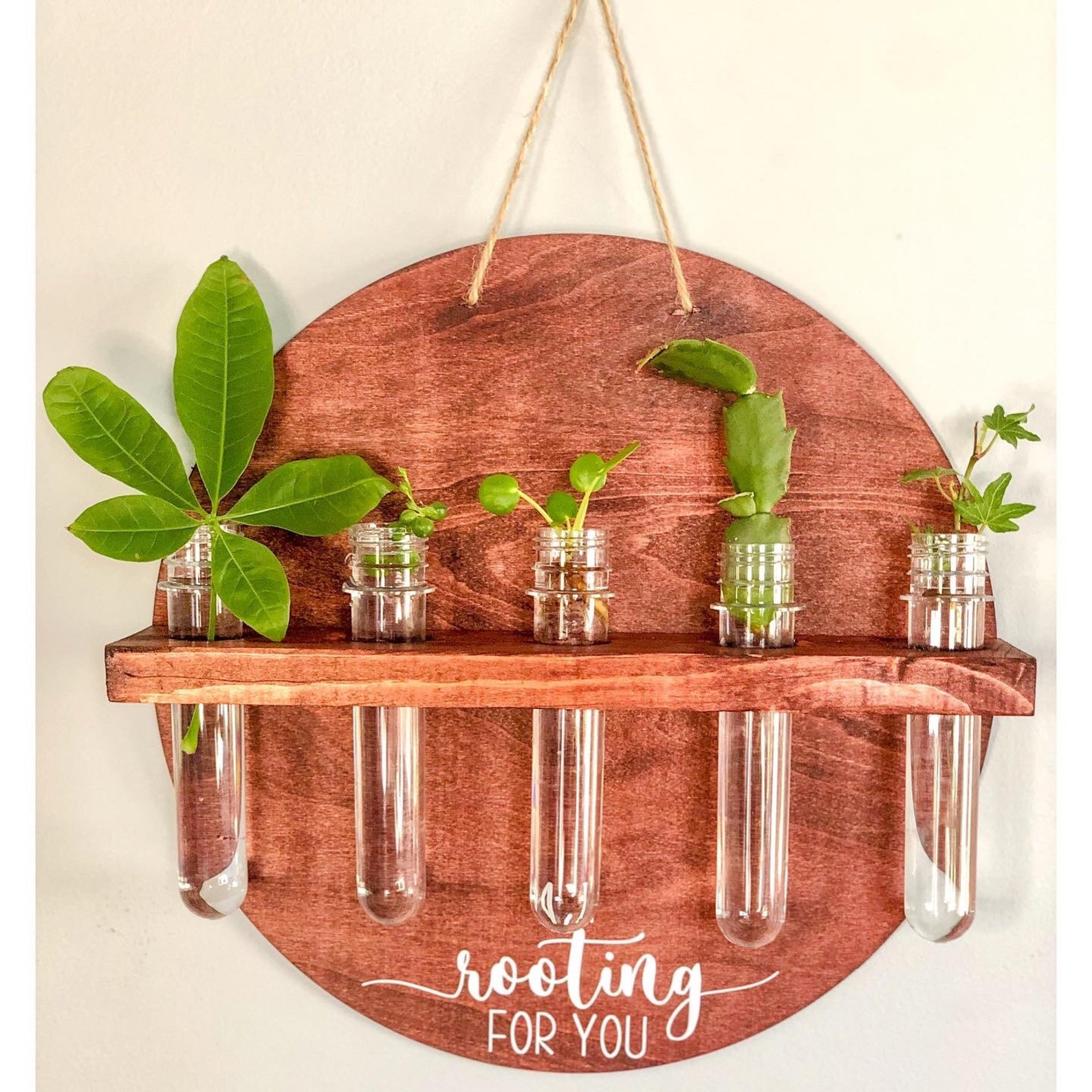 Hanging Propagation Station Plant Decor Wall Planter - Etsy