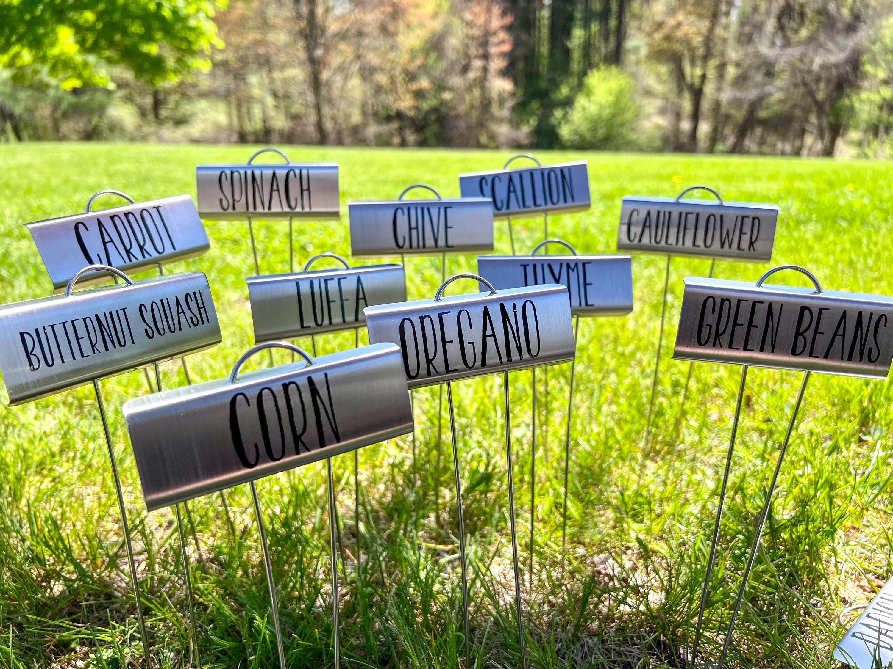 Stainless Steel Metal Garden Plant Labels Plant Markers | Etsy