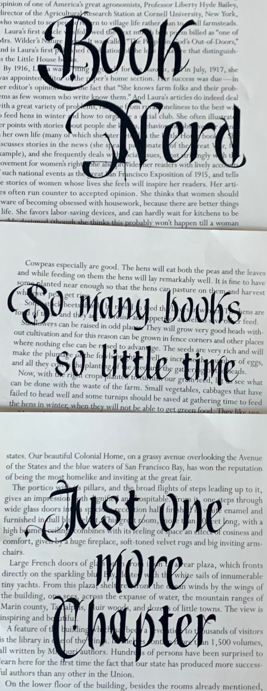 Book Art Sculpture Paper Flower With Black Roses Reading - Etsy