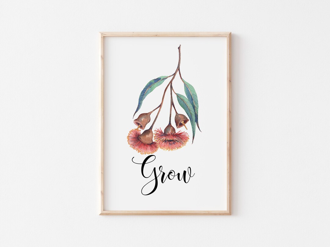 Minimal Wall Decor Set of 3 Australian Native Plants - Etsy