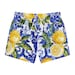 Italian Amalfi Men's Swim Trunks, Italy Lemon Swim Suit, Bathing Suit ...