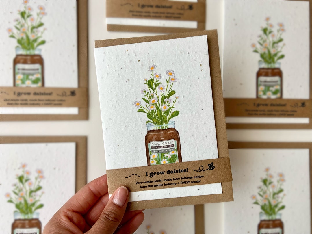 Plantable Daisy Seed Card | Grow Your Own Daisy Card | Plantable Seed ...