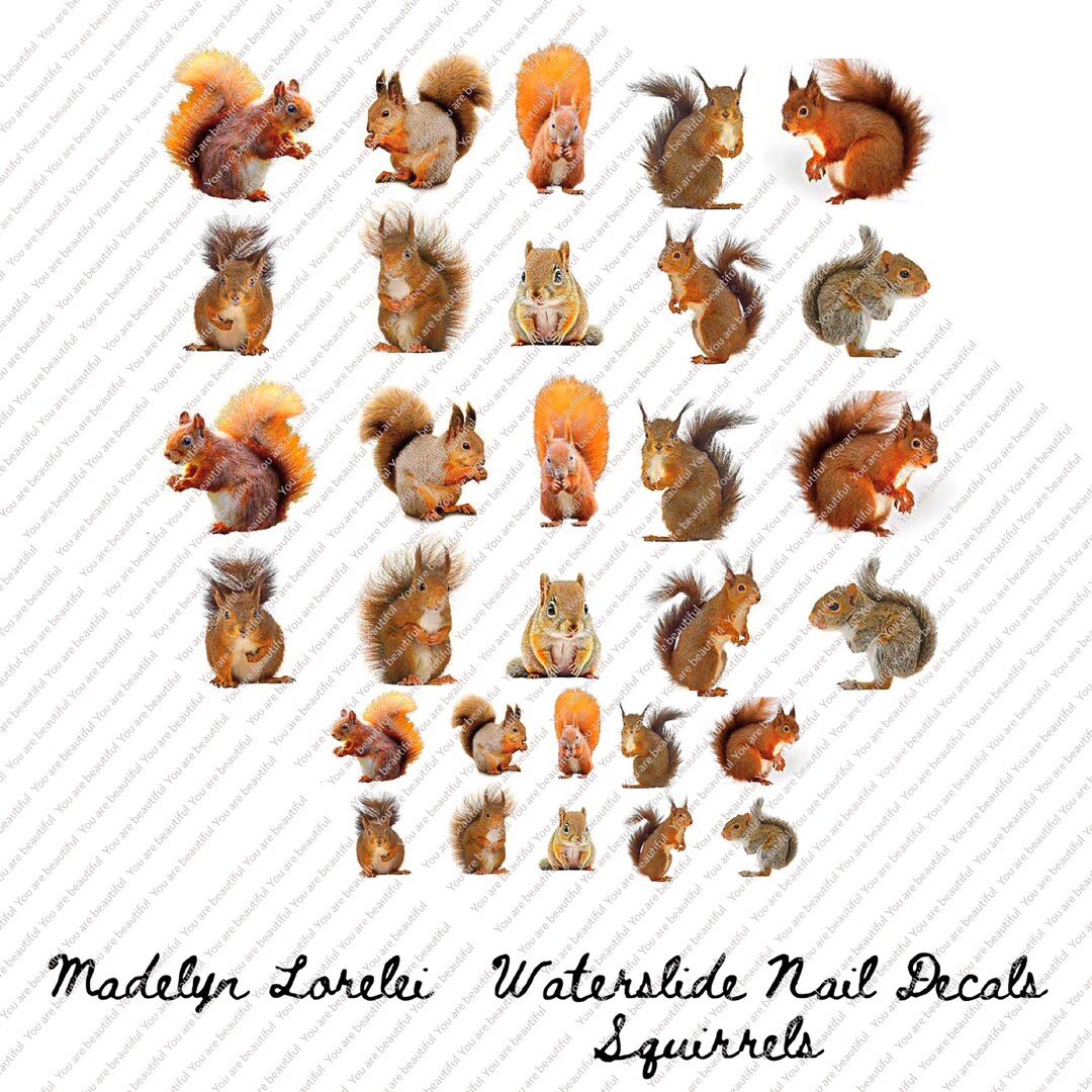 Squirrels Waterslide Nail Decals - Etsy