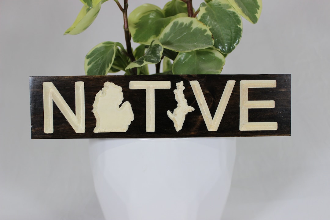 Michigan Native Handmade Carved Wood Wall Hanging Sign for Your Home or ...
