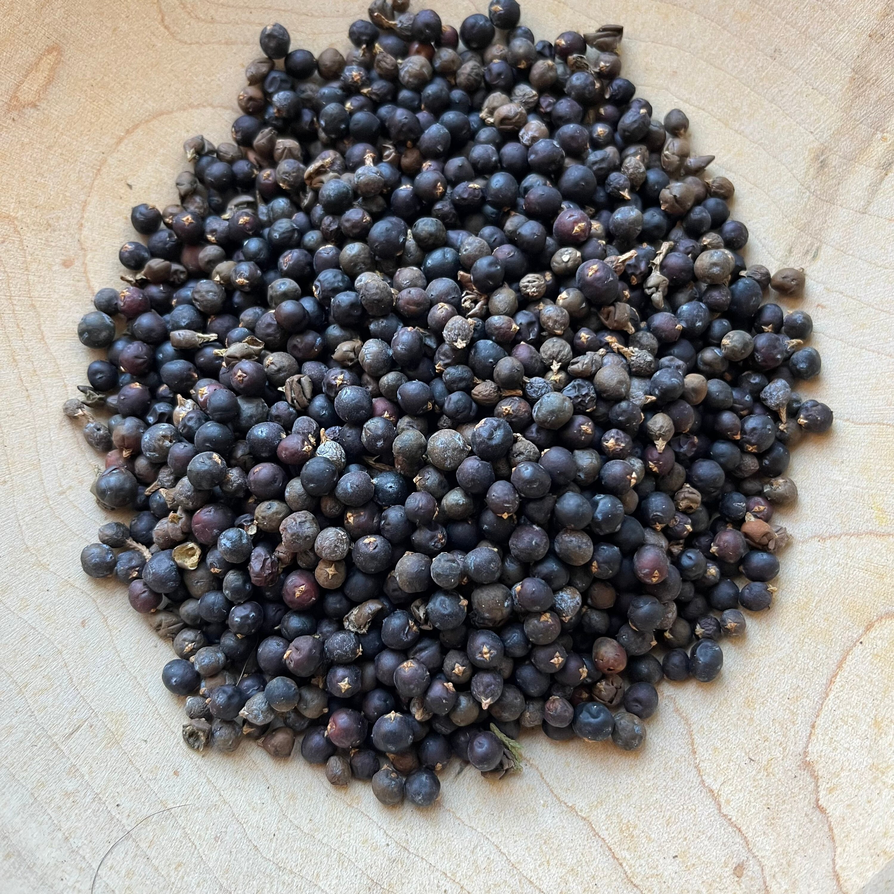 Juniper Berries Foraged Berries Wildcraft Materials Natural Berries ...
