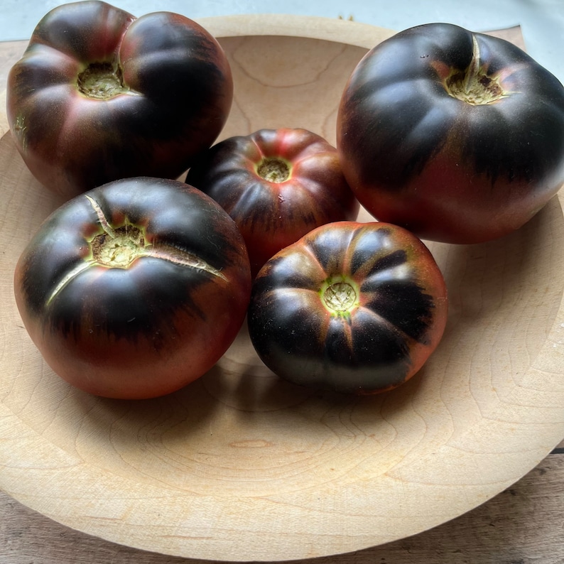 Black Beauty Heirloom Tomato Seeds 25 Seeds Heirloom Tomato Black ...