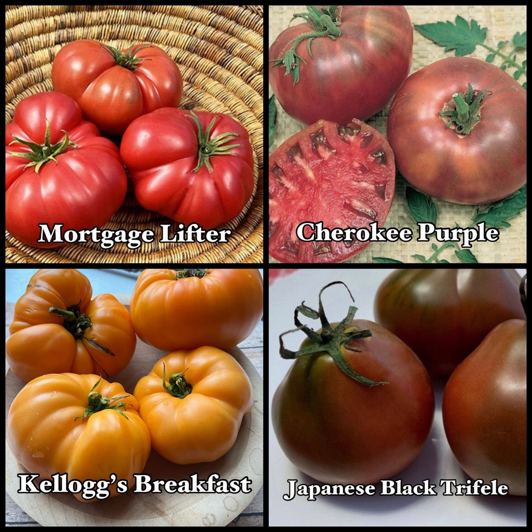 The Full Basket Heirloom Tomato Seed Collection | Heirloom Seeds | Seed ...