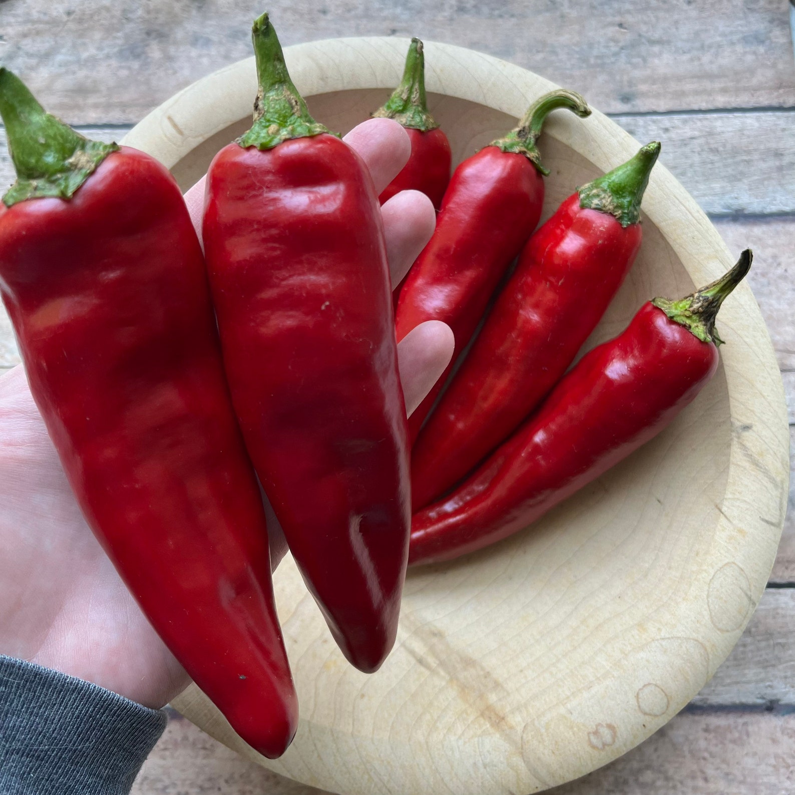 Paprika Pepper Seeds | 30 Seeds | Heirloom Seeds | Organic Gardening | Hot Pepper - Etsy
