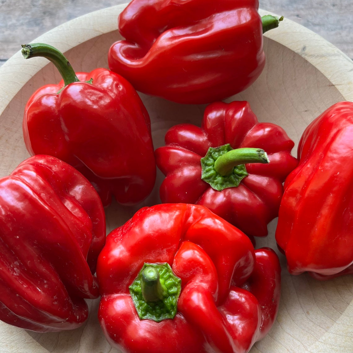 Criolla De Cocina Pepper Seeds 30 Seeds Heirloom Seeds Organic ...