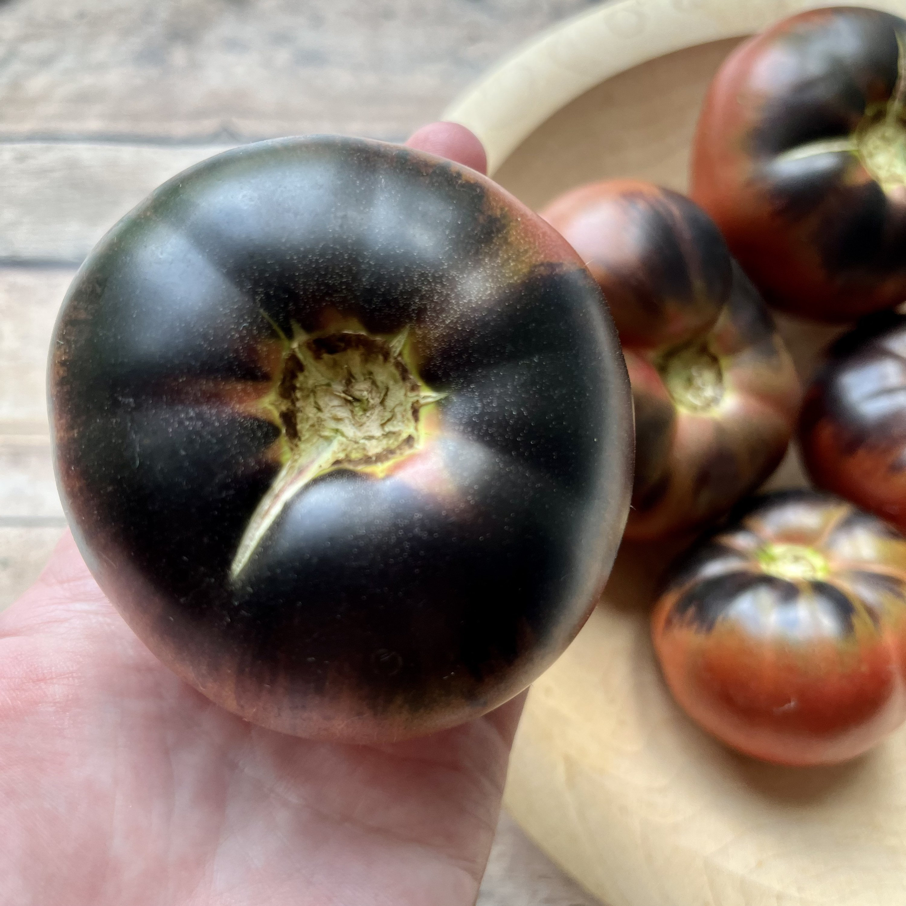 Black Beauty Heirloom Tomato Seeds | 25 Seeds | Heirloom Tomato | Black ...
