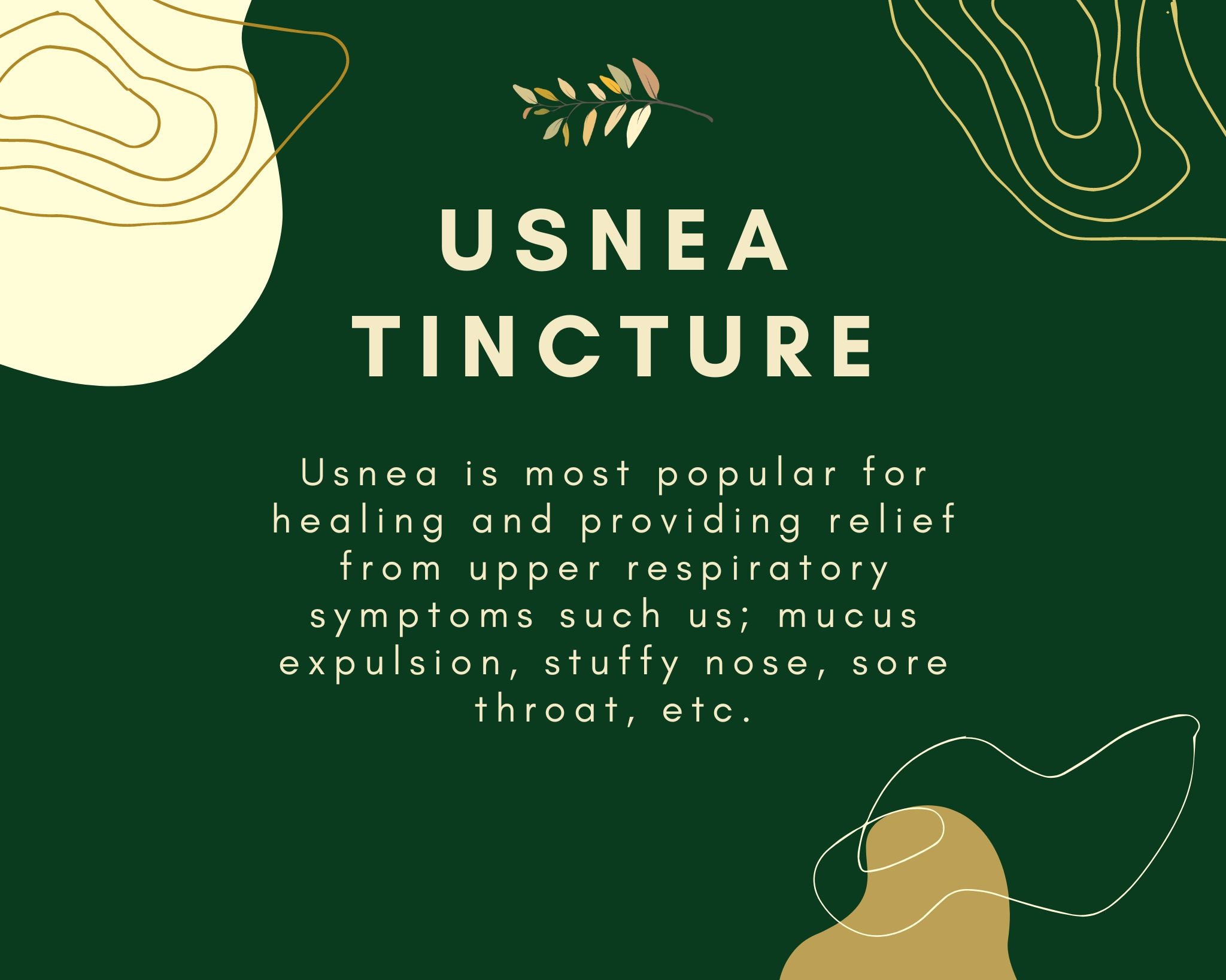 Usnea Double Extract Tincture | Old Man’s Beard Tincture | Usnea Lichen ...