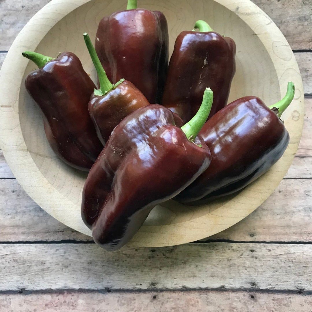 Red Poblano Pepper Seeds | Chocolate Poblano | Red Ancho Pepper ...