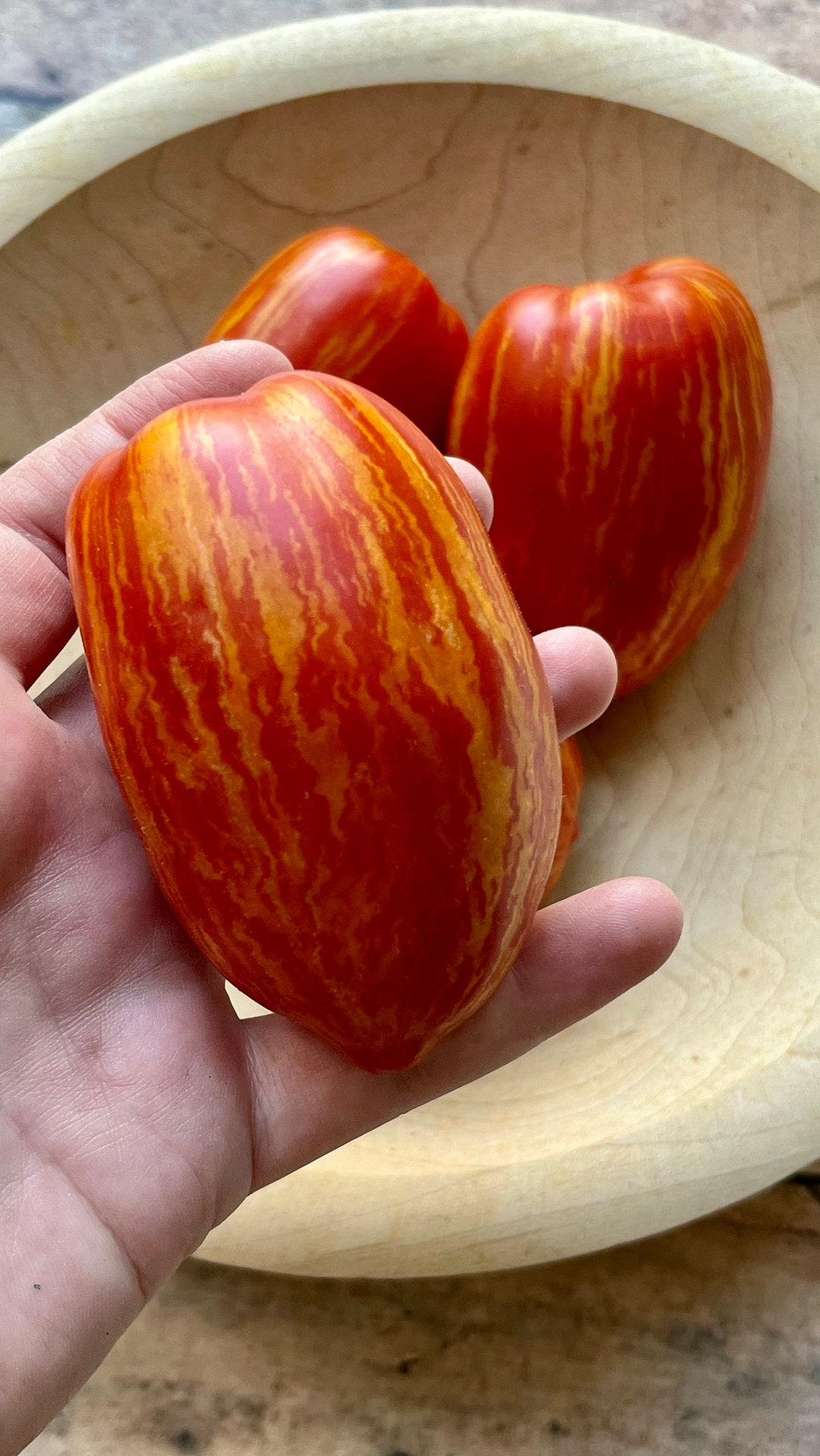 Speckled Roman Tomato Seeds | Heirloom Seeds | 30 Seeds | Heirloom ...