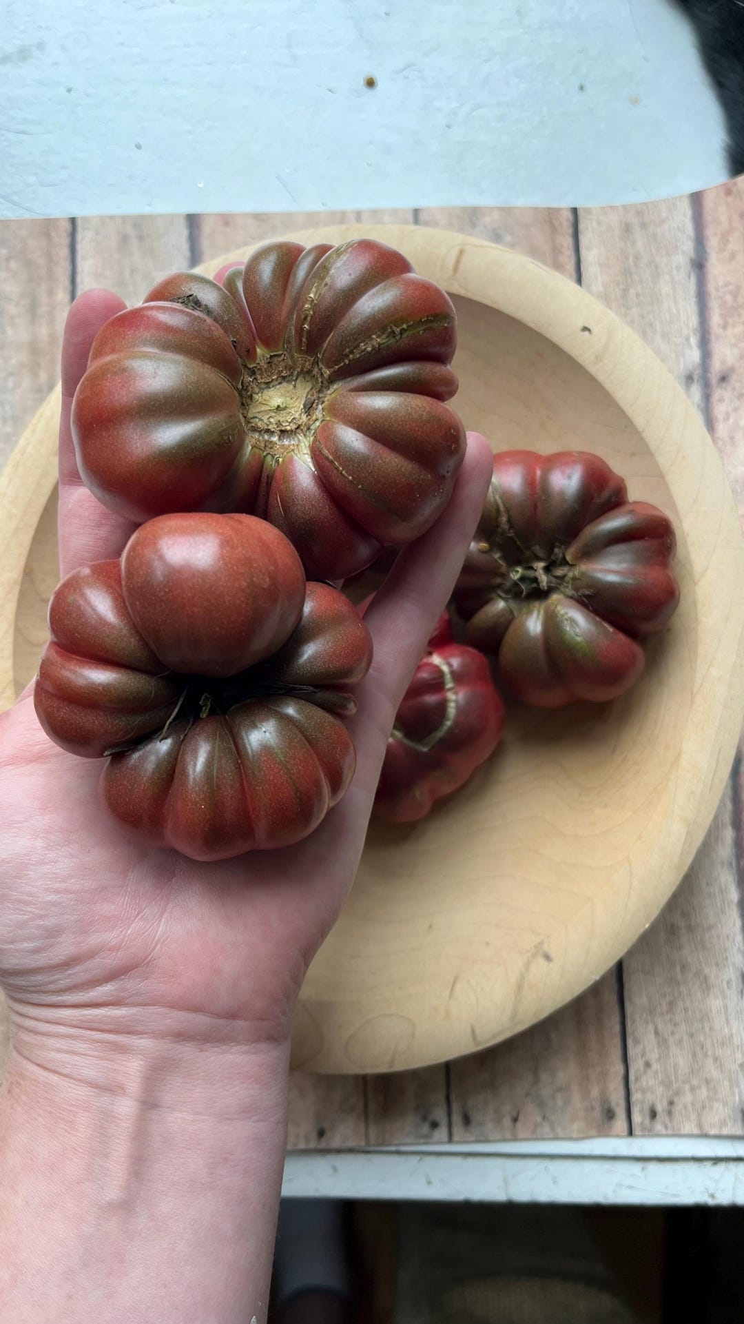 Paul Robeson Tomato Seeds | Heirloom Seeds | 30 Seeds | Heirloom ...