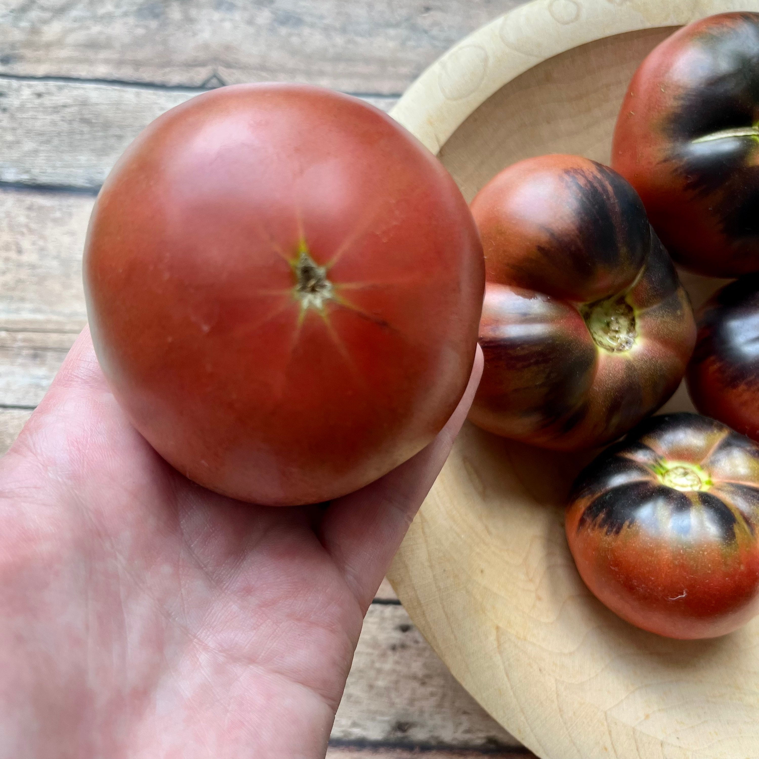 Black Beauty Heirloom Tomato Seeds | 25 Seeds | Heirloom Tomato | Black ...