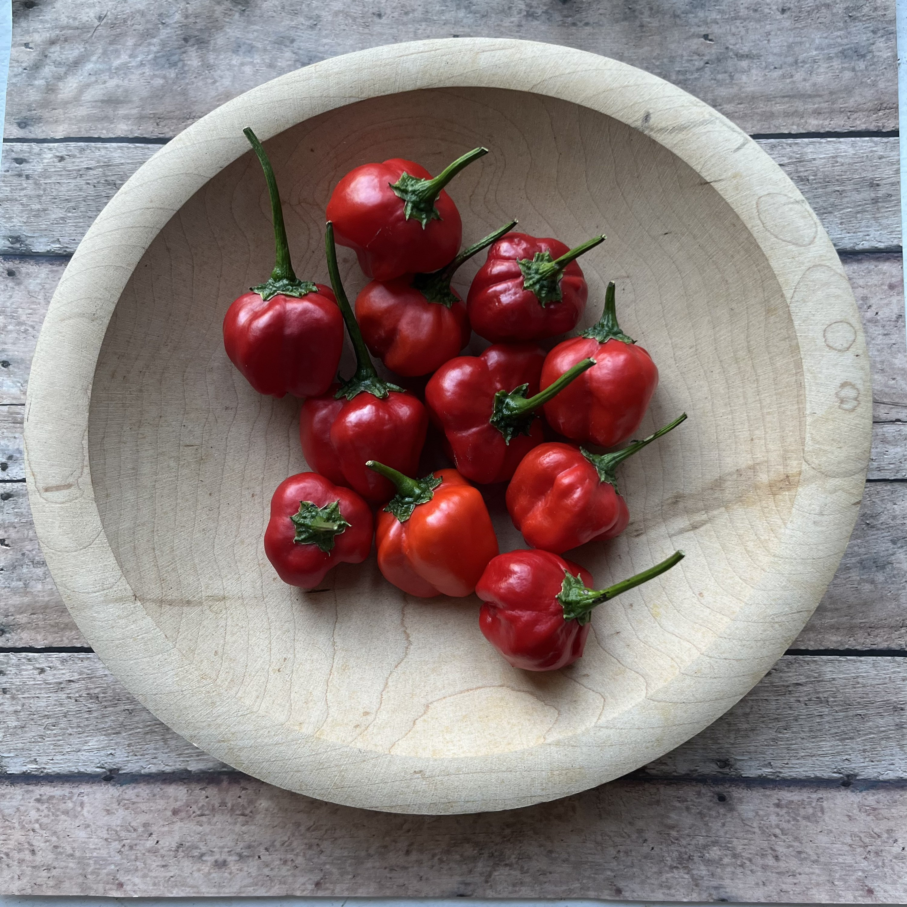 Malawi Piquante Pepper Seeds | Peppadew Pepper | 20 Seeds | Heirloom ...