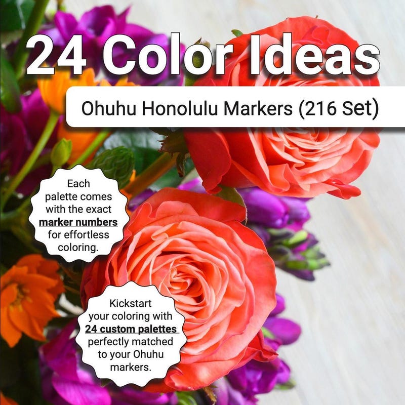 Individual Ohuhu Marker - Etsy