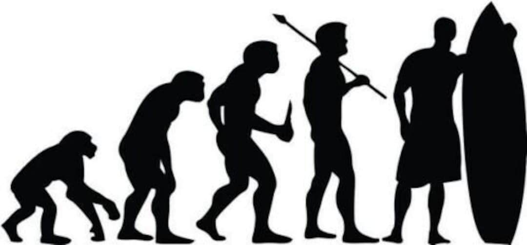SURFING EVOLUTION Vinyl Decal Sticker - Etsy