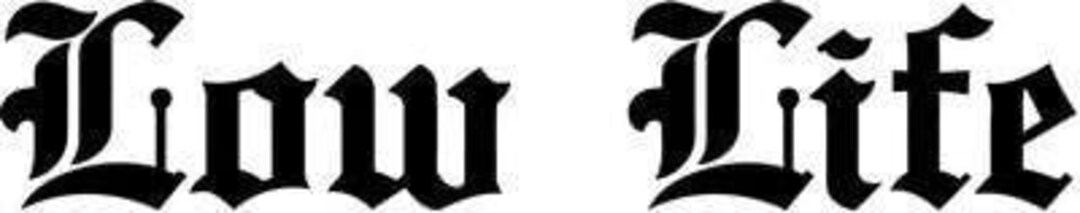 Low Life JDM Vinyl Decal Sticker - Etsy