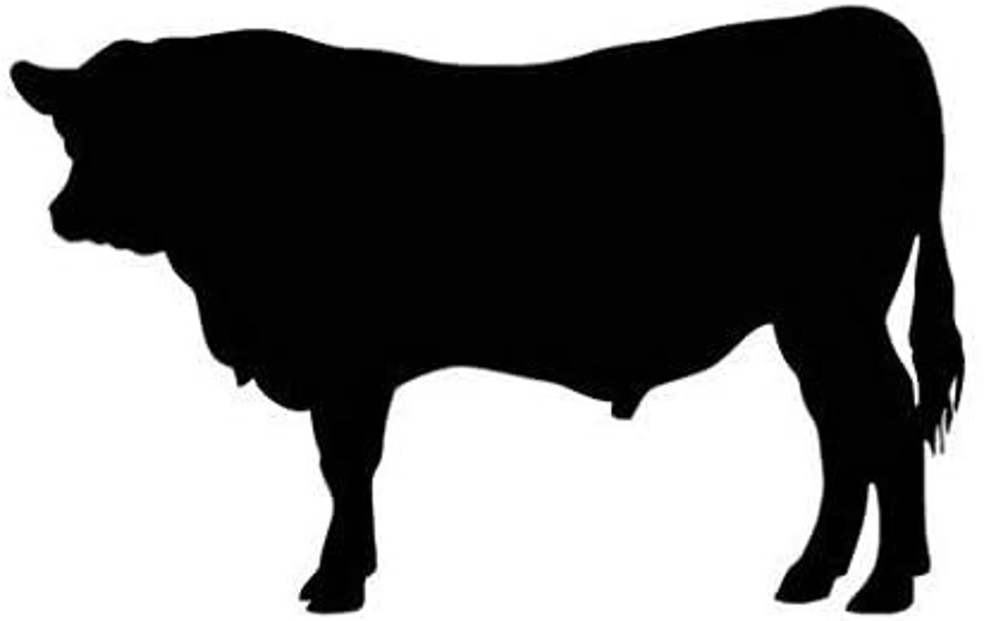 Angus Cow Bull Cattle Decal Sticker, Die Cut Vinyl Decal for Windows ...