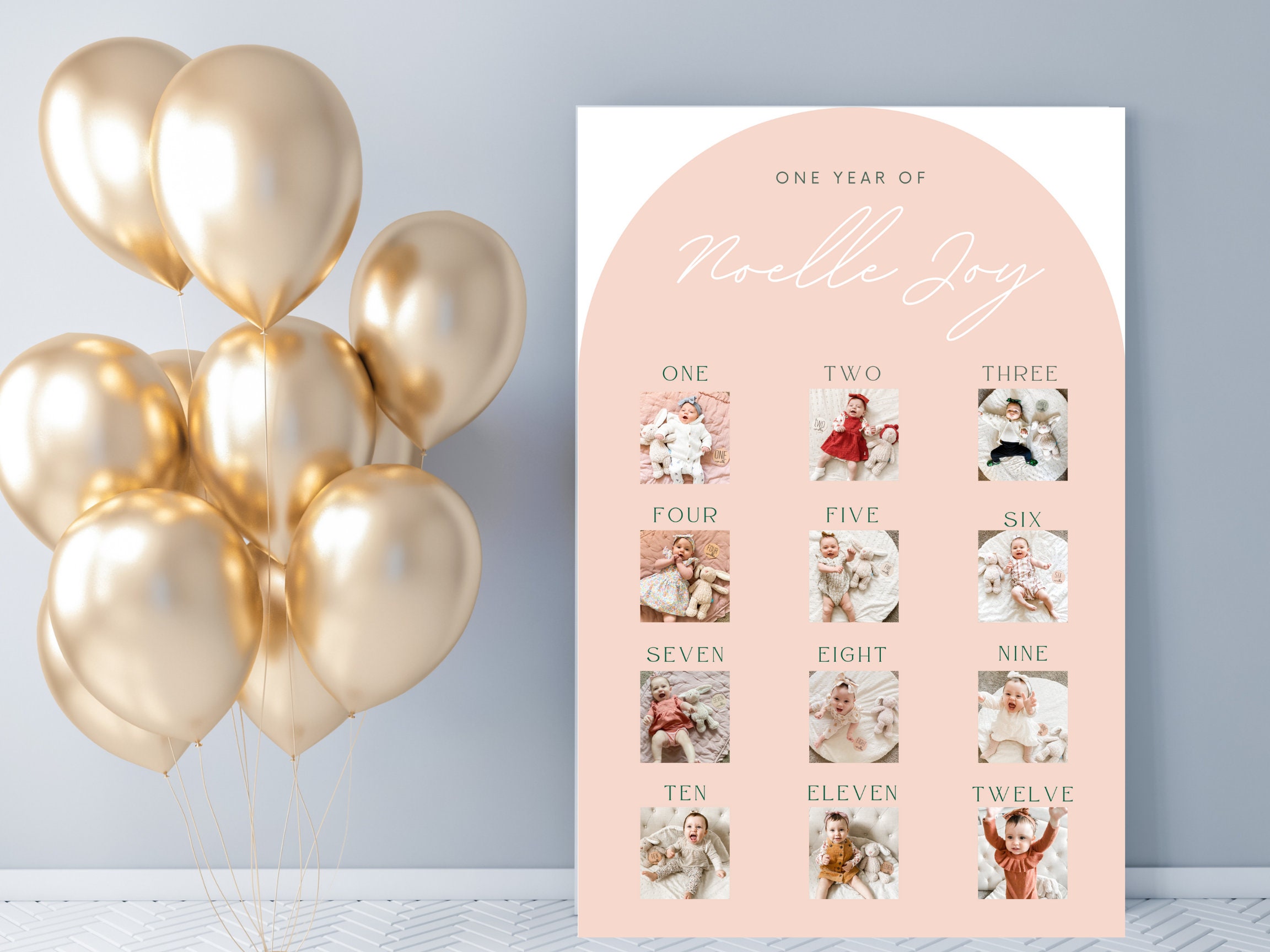 First Birthday Milestone 12 Month Photo Collage Poster Sign Editable ...