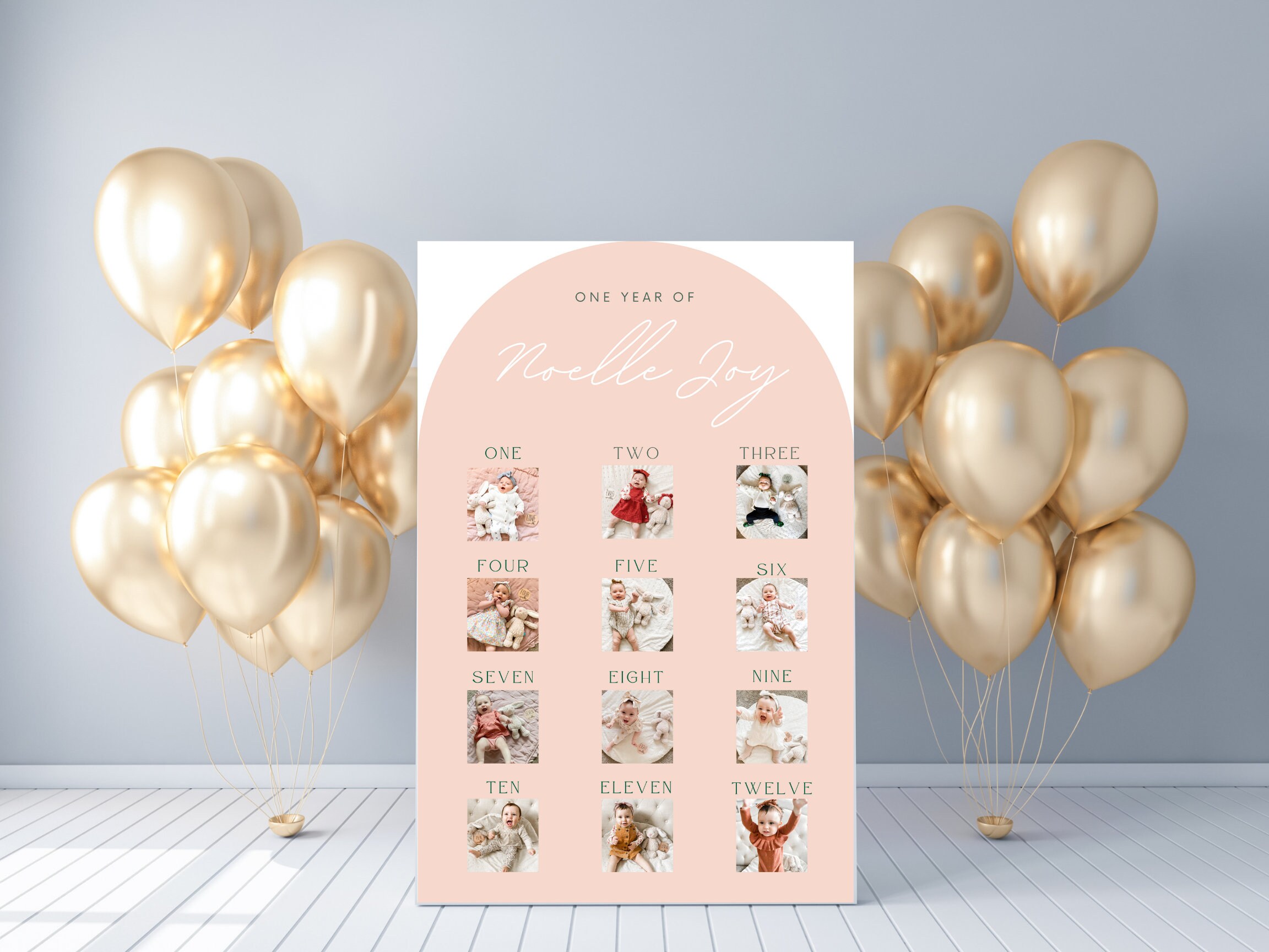 First Birthday Milestone 12 Month Photo Collage Poster Sign Editable ...