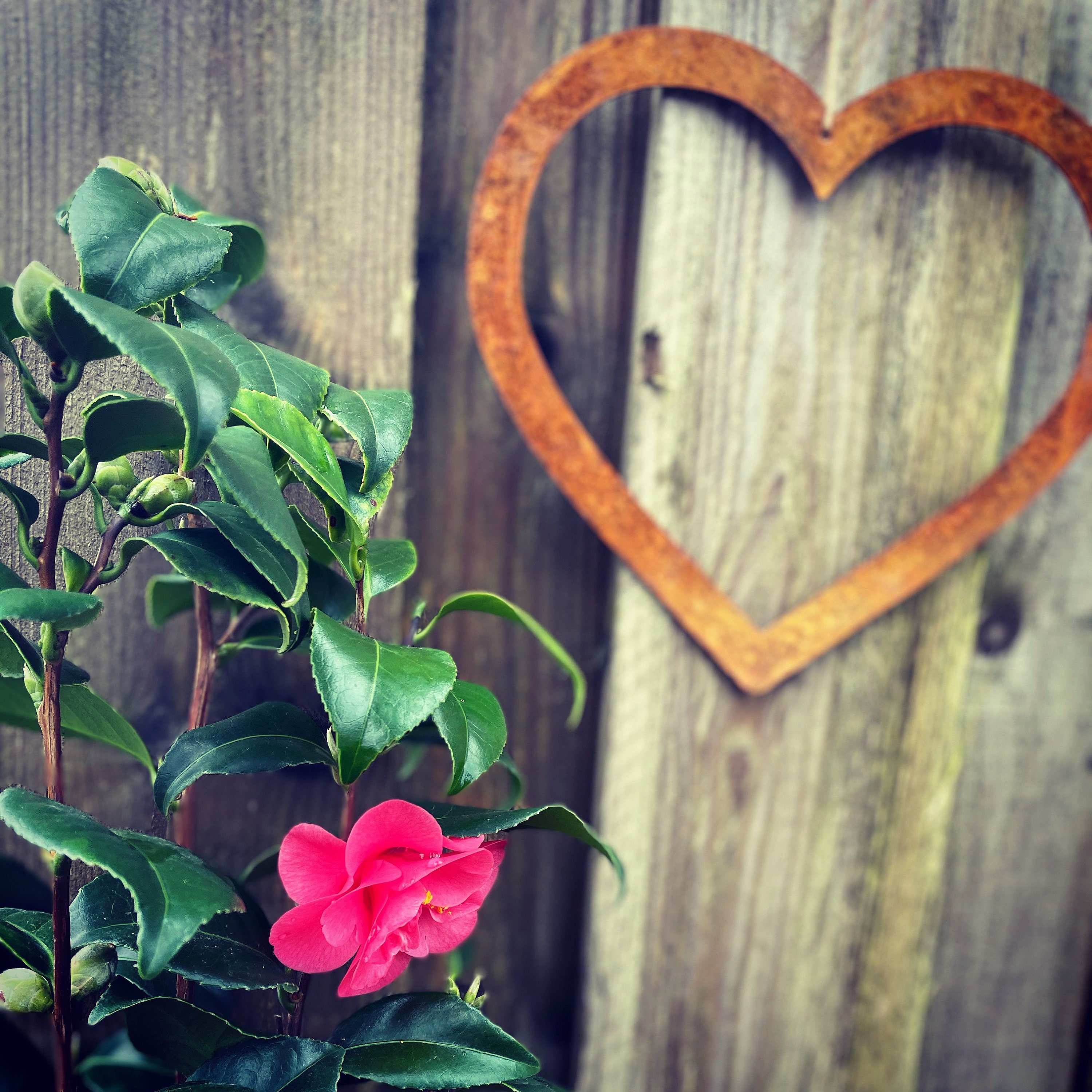 Large Rustic Metal Love Heart - Etsy UK