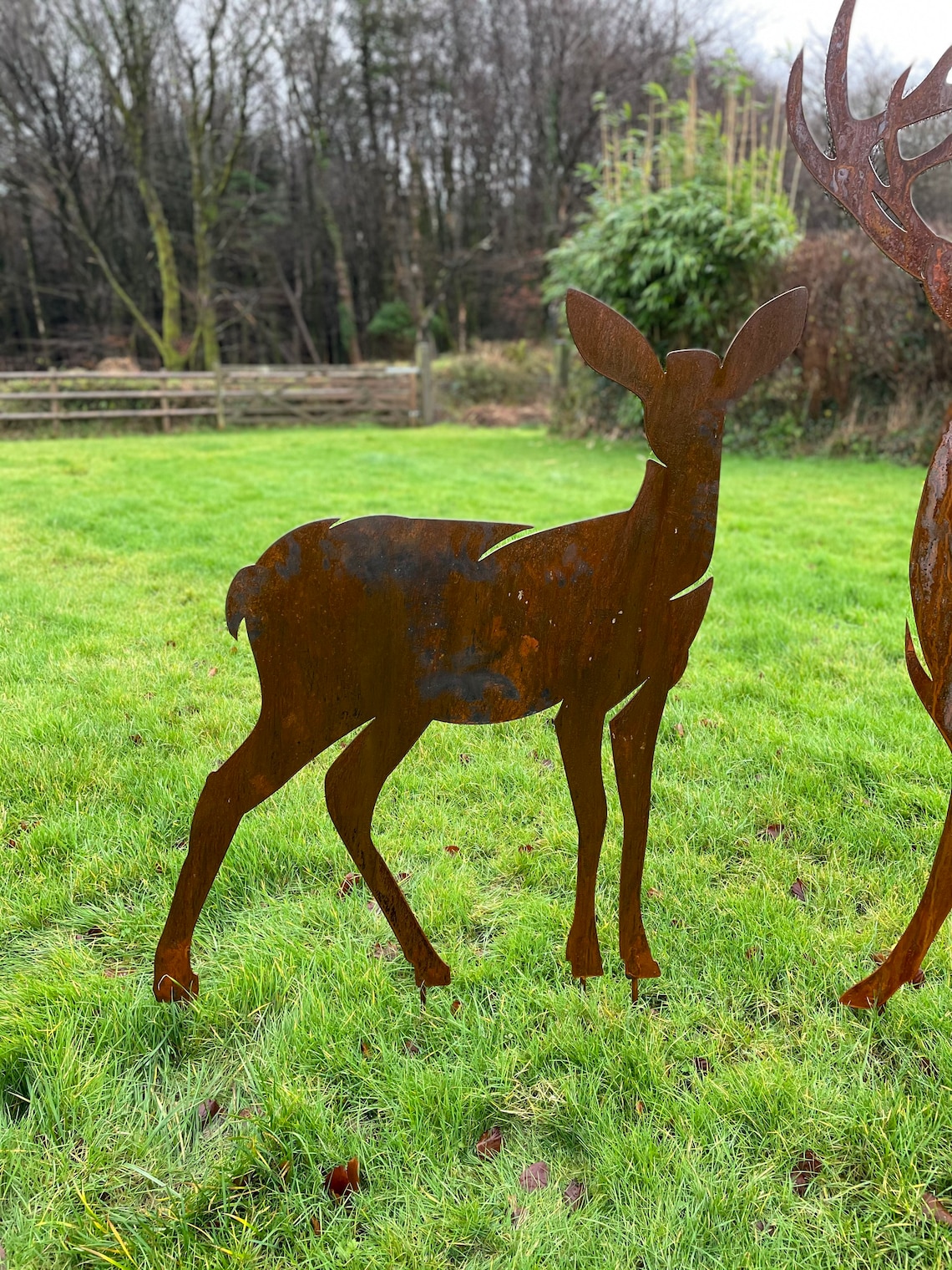 Large Metal Doe , Deer , Garden Deer. - Etsy UK