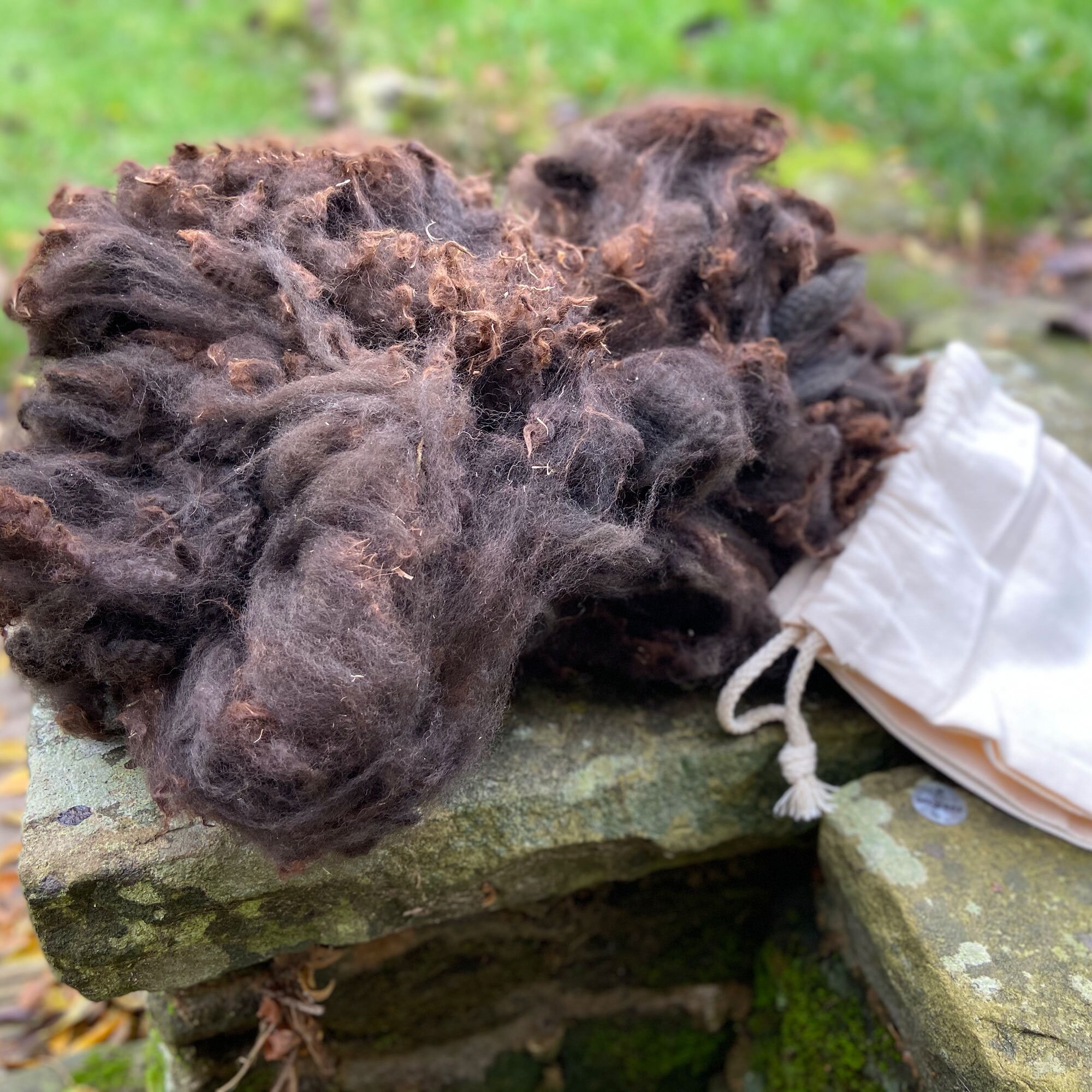 Bird Nesting Material With Cotton Bag Alpaca Fibre | Etsy UK