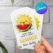 Summer Sun Gift Tag, Have a Great Summer Gift Tag, Sunshine Thank You ...