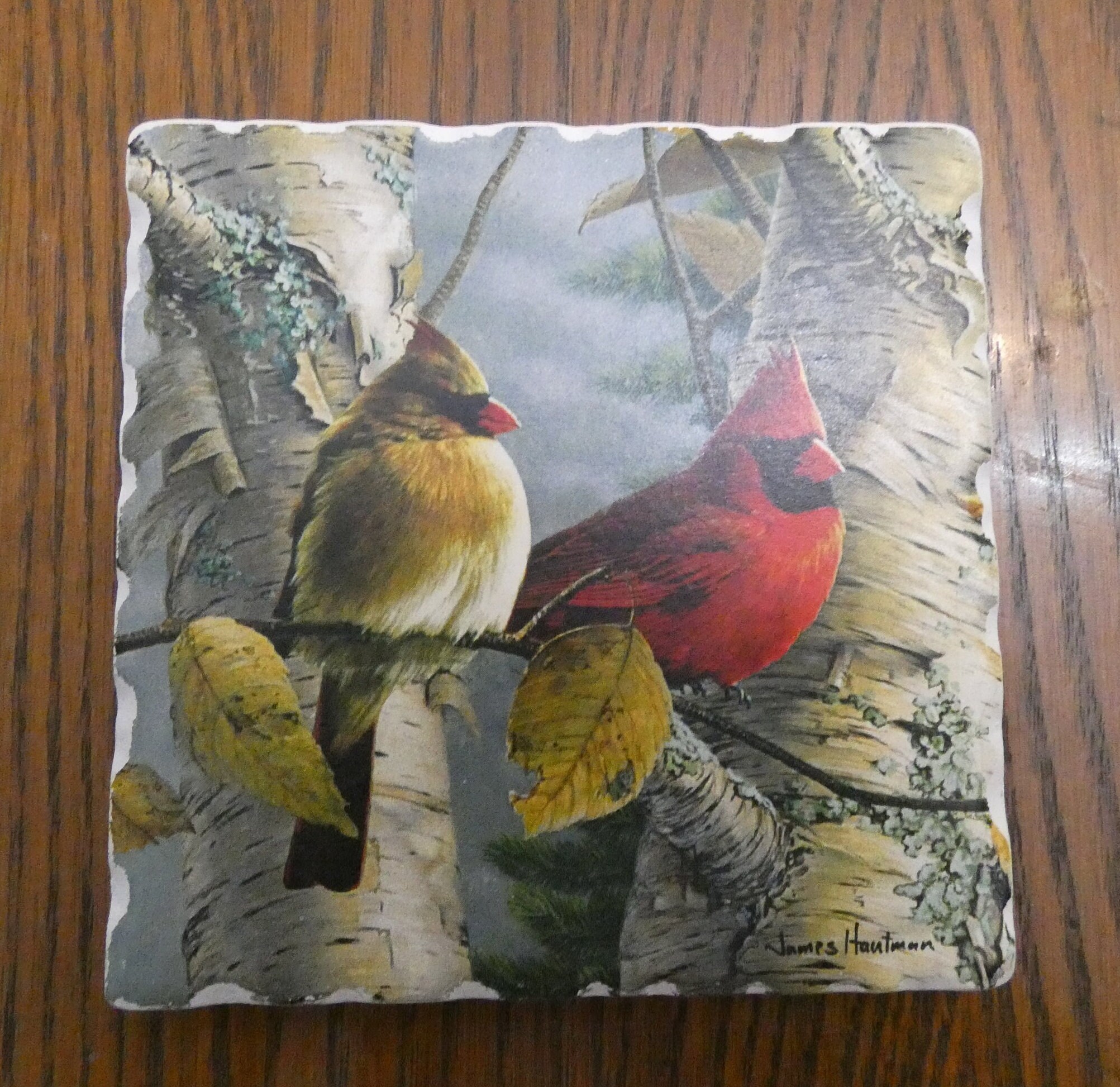 Home & Living Four Vintage Artist Design Highland Graphic Stone ...