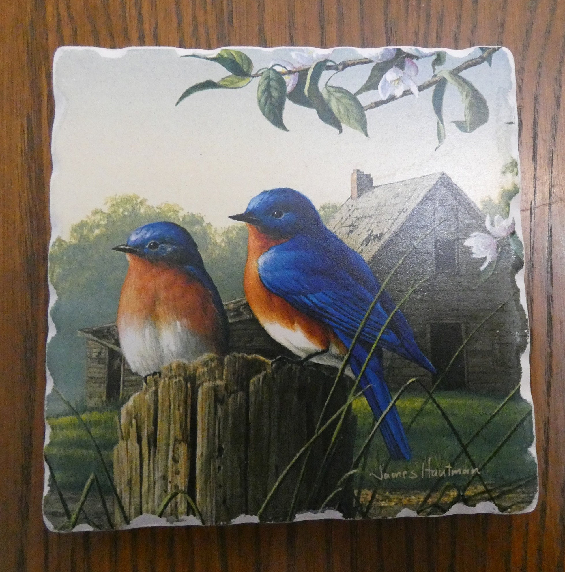 Home & Living Four Vintage Artist Design Highland Graphic Stone ...