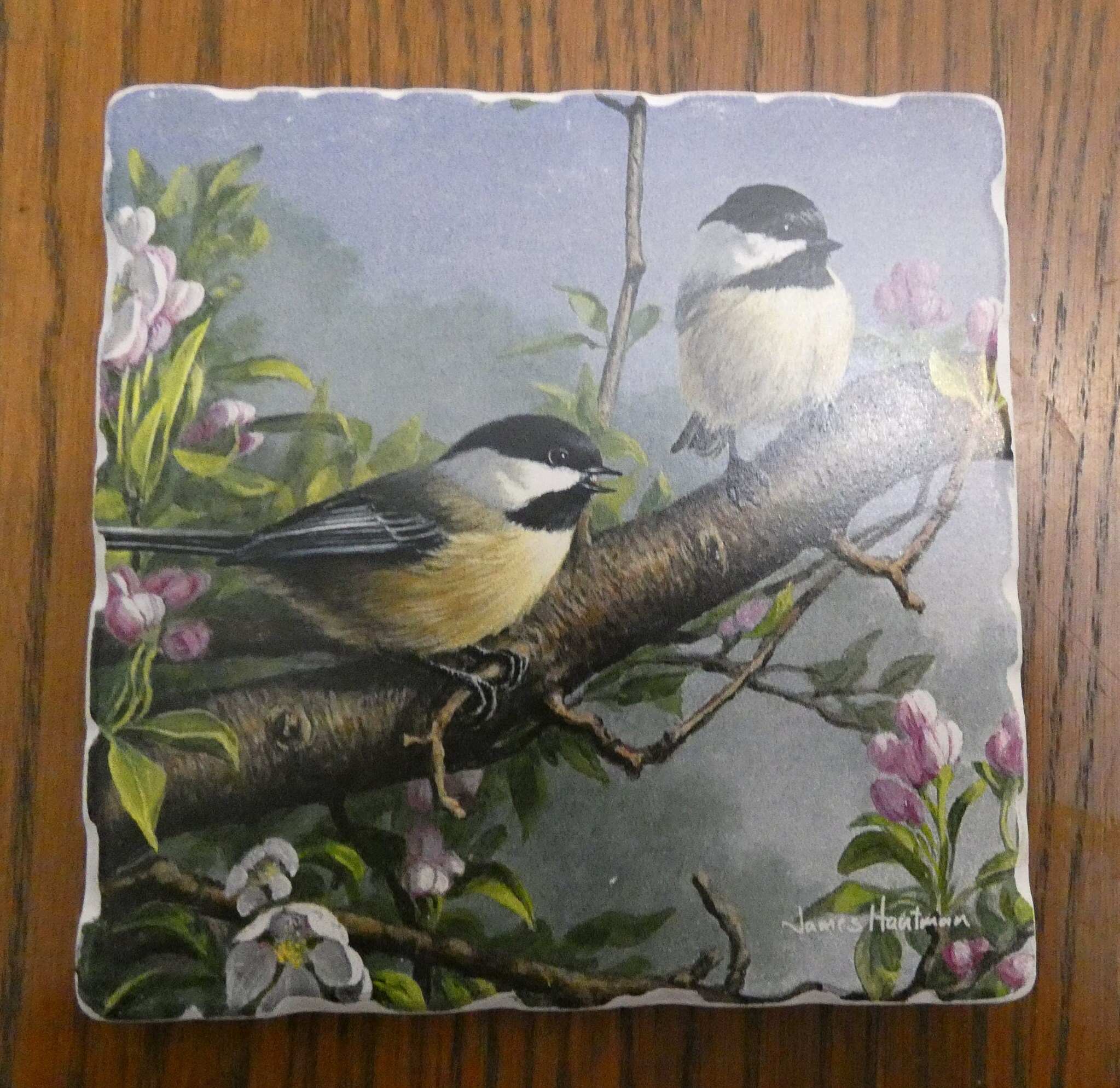 Home & Living Four Vintage Artist Design Highland Graphic Stone ...