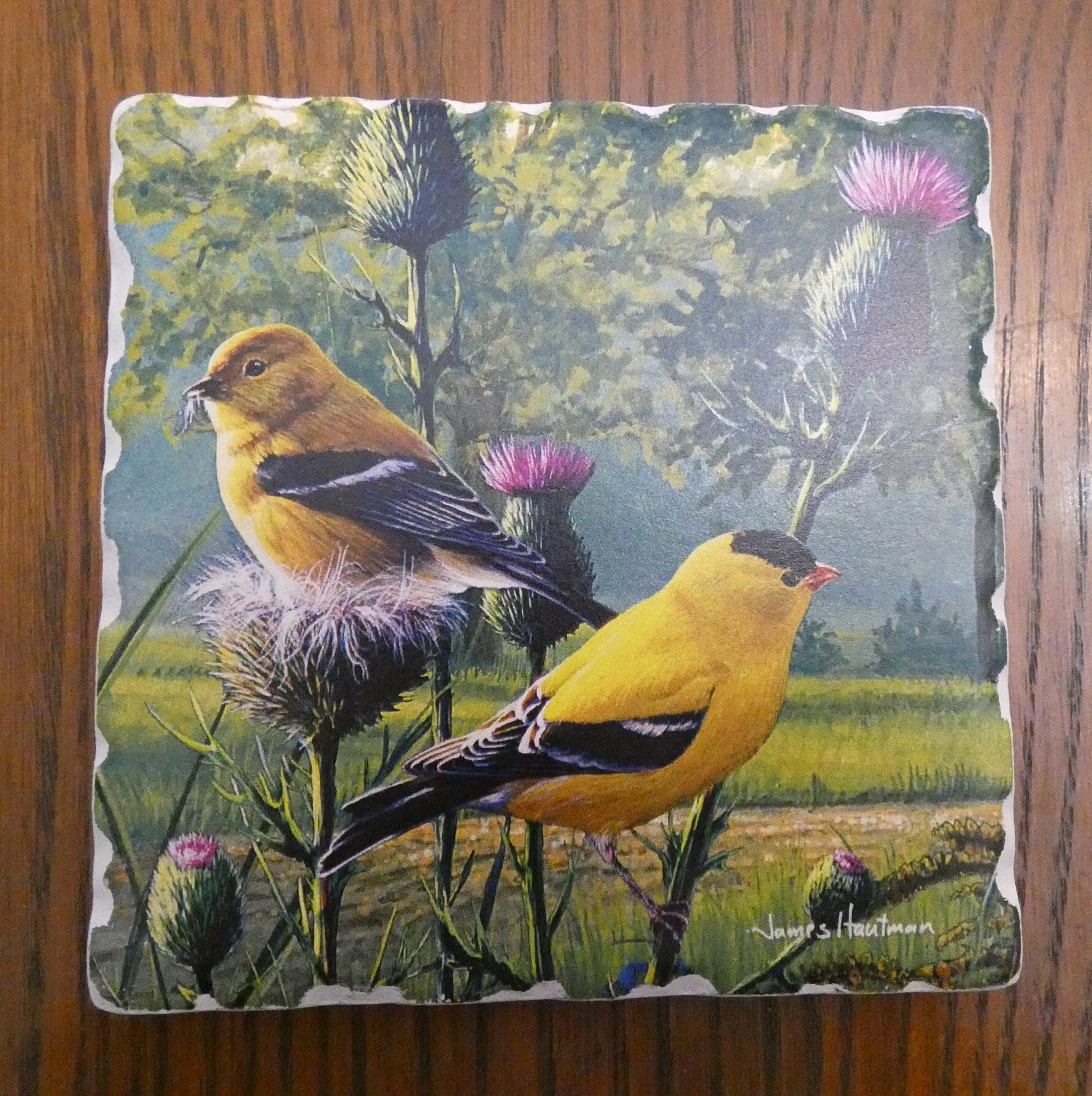 Home & Living Four Vintage Artist Design Highland Graphic Stone ...