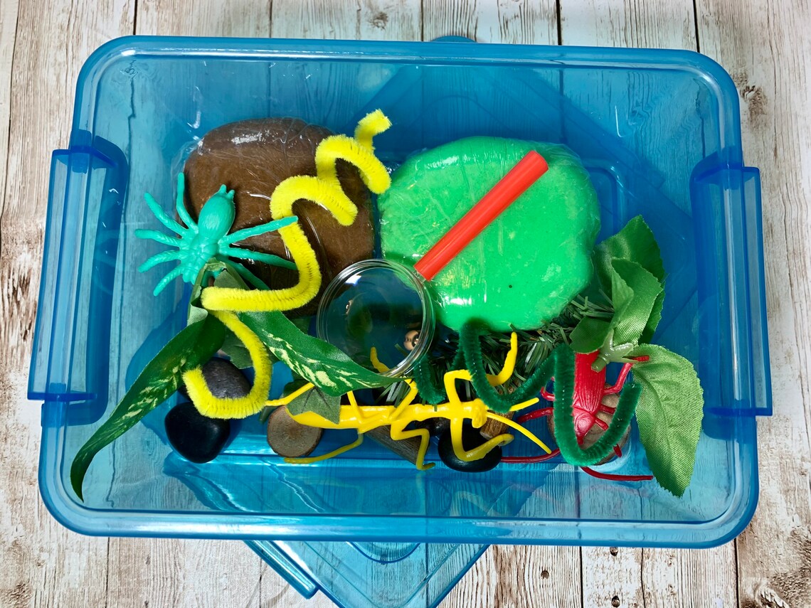 Bug Play Dough Kit Bug Play Dough Bug Sensory Kit Bug - Etsy